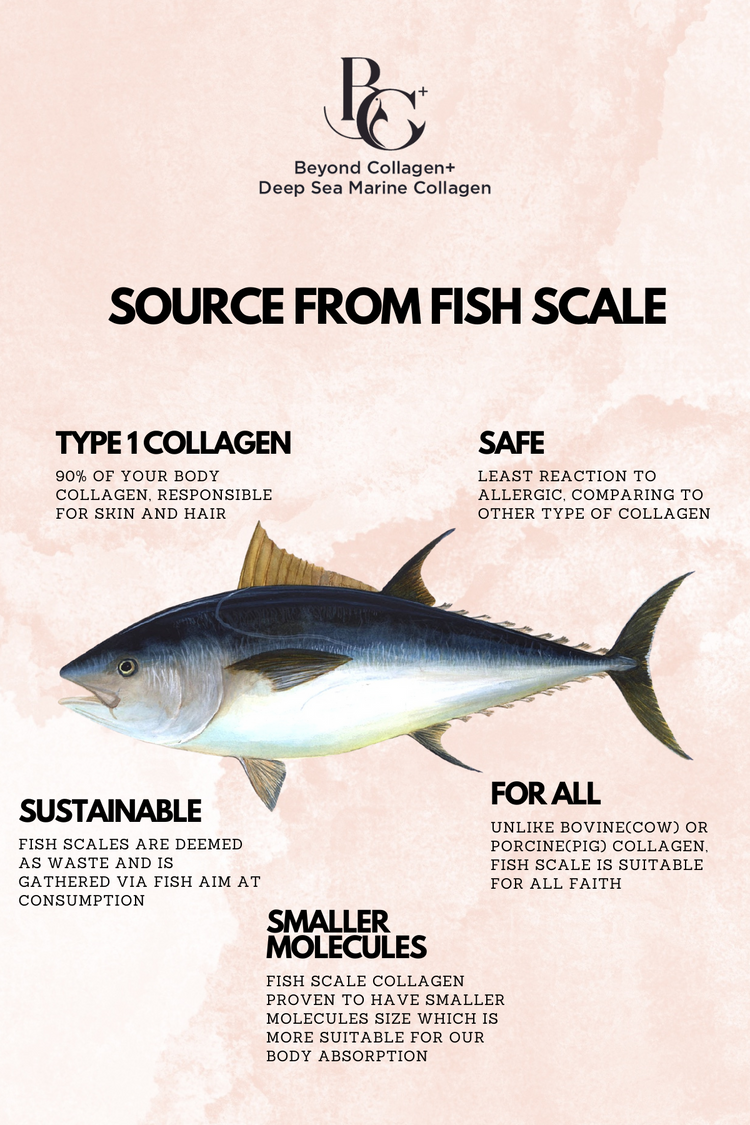 Beyond Collagen+ Deep Sea Marine Fish Scale Collagen