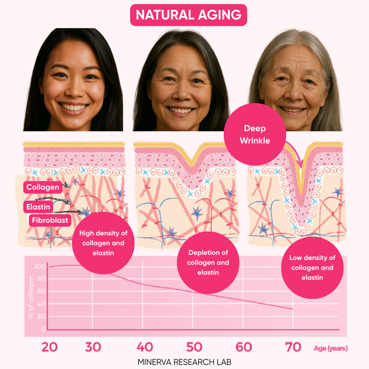 Beyond Collagen+ Deep Sea Marine Fish Scale Collagen